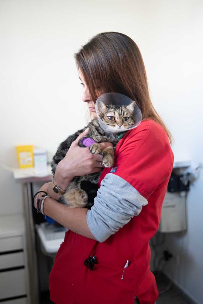 Présentation - Clinique Vétérinaire AnimaVet St Genis Pouilly | Dr ...